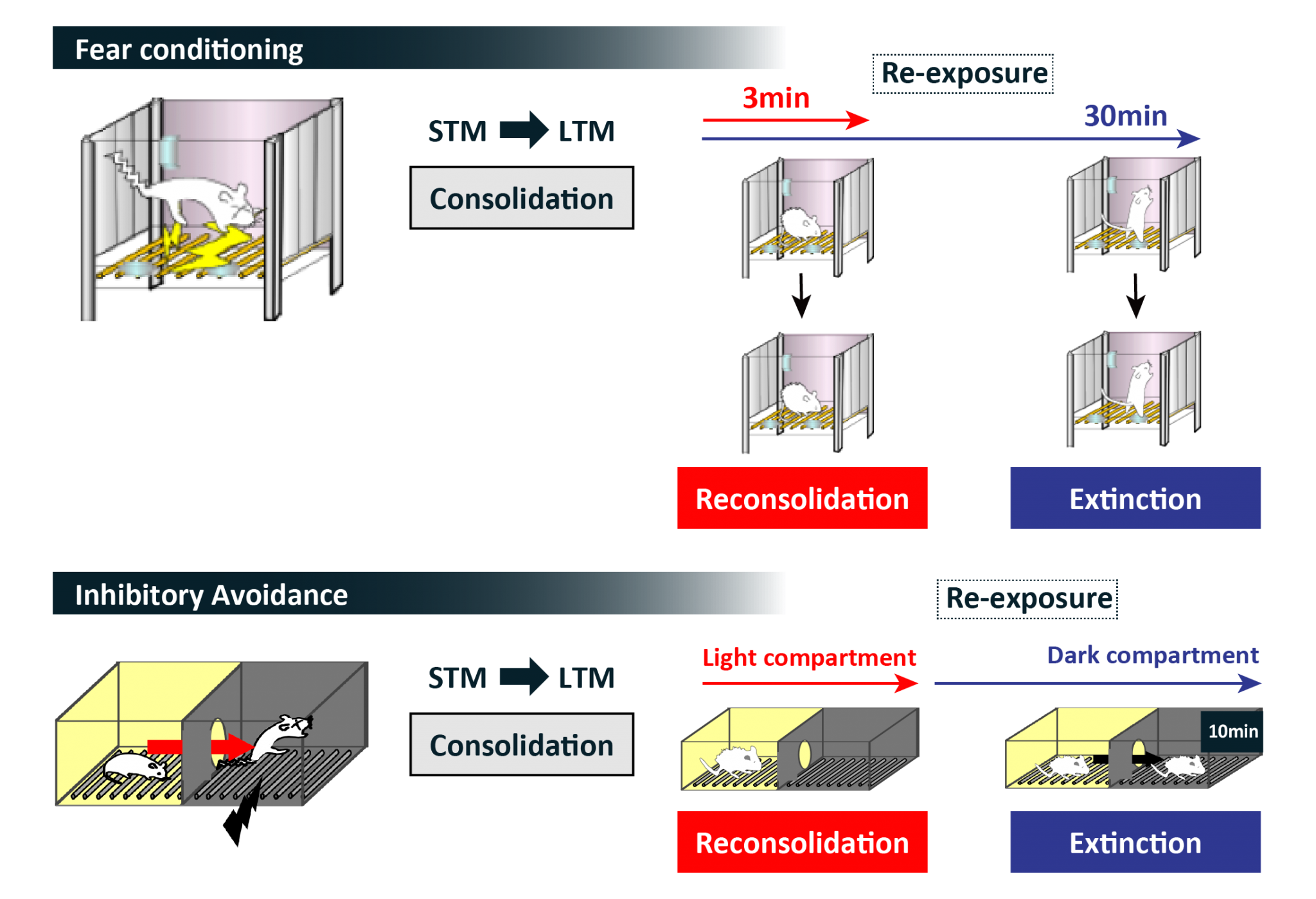Outlines of our research | KIDA LABORATORY